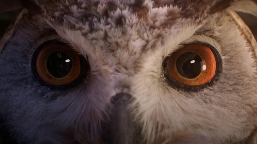 A magical owl invites you to the School of Magic! A cinematic trailer ...