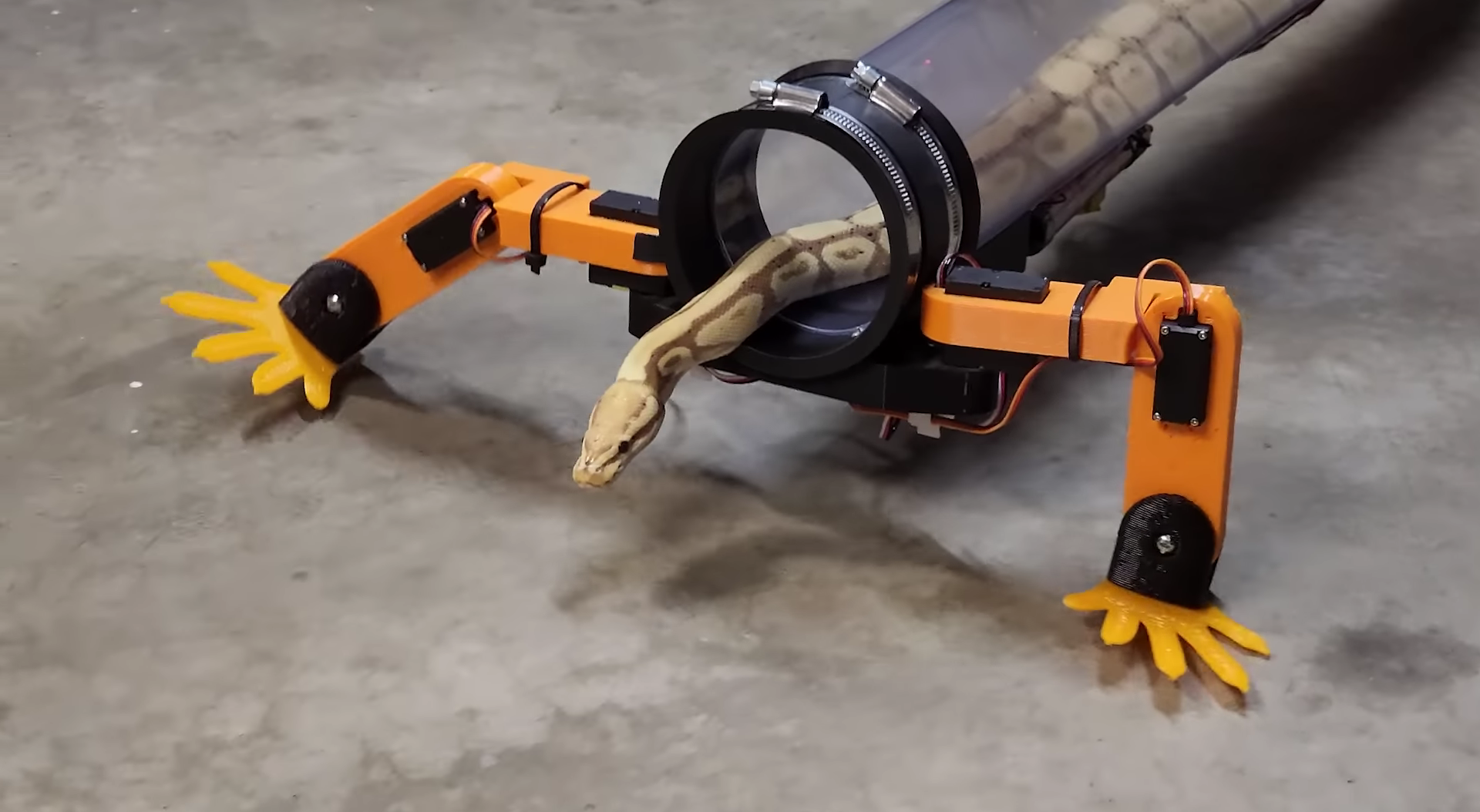 Engineer designed robotic legs for a snake - it liked them | gagadget.com