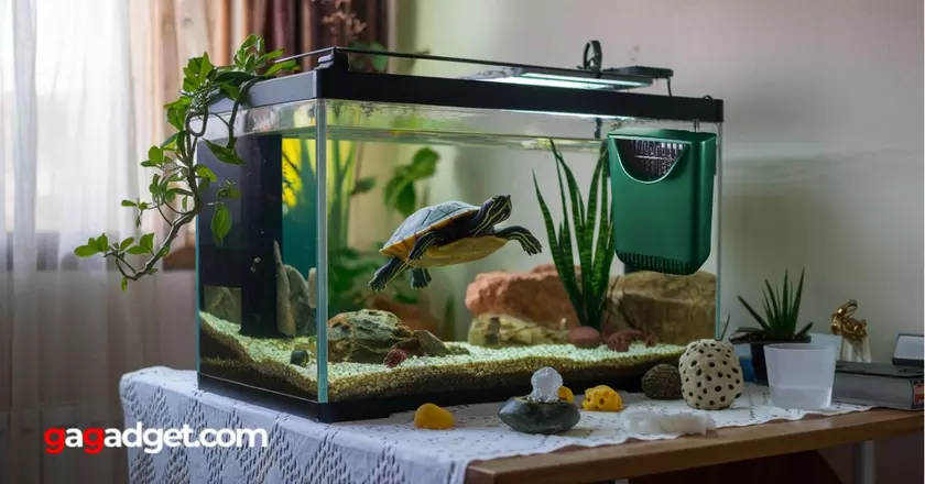 5 Best Turtle Tank Filters in 2025 - Comparison and Review
