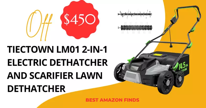 TIECTOWN LM01 2-in-1 Electric Dethatcher and Scarifier - $450 NOW!