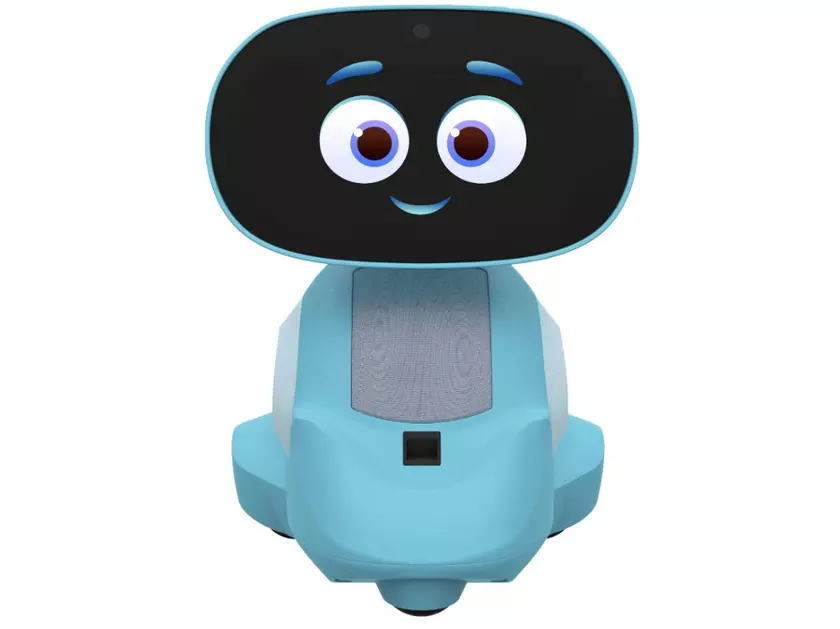 5 Best AI Desk Robots in 2026 - Comparison and Review