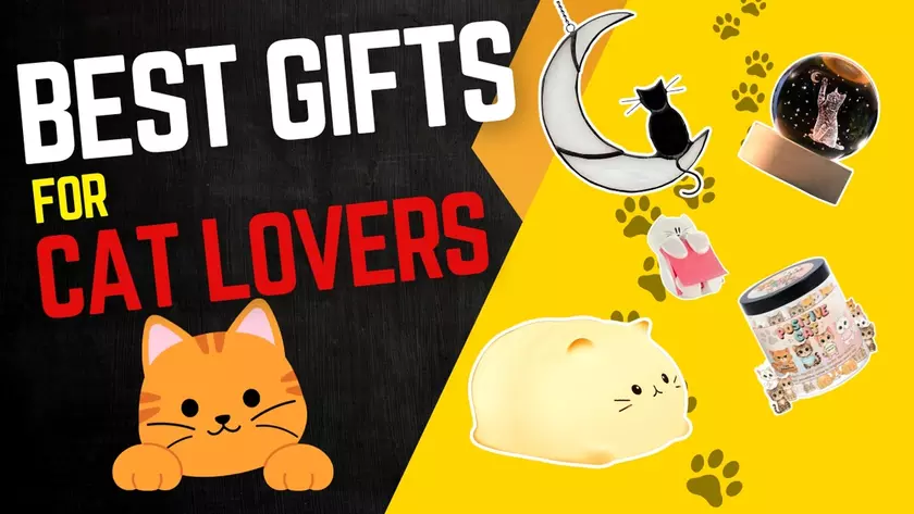 Best Gifts for Cat Lovers 2025 — Cute & Smart Picks