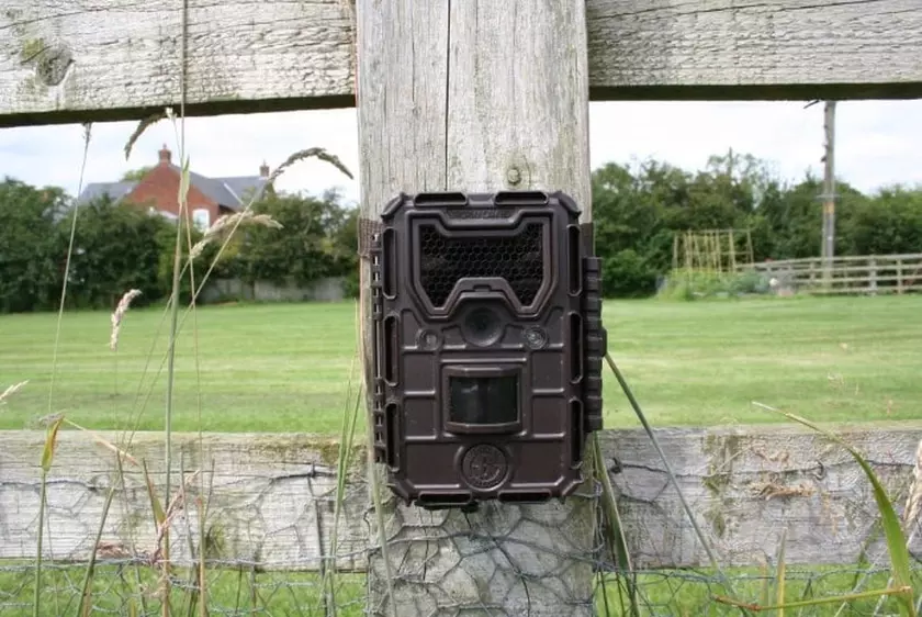 5 Best Non-Cellular Trail Cameras in 2026 | Trail Camera without WiFi ...