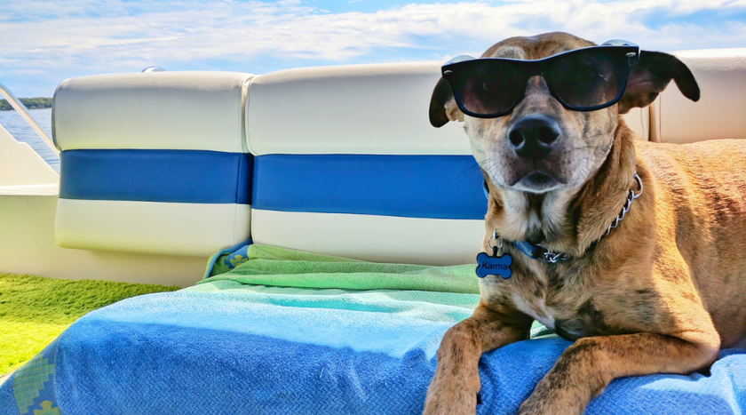 Cool Things to Buy on Amazon | Best Amazon Must Haves Finds