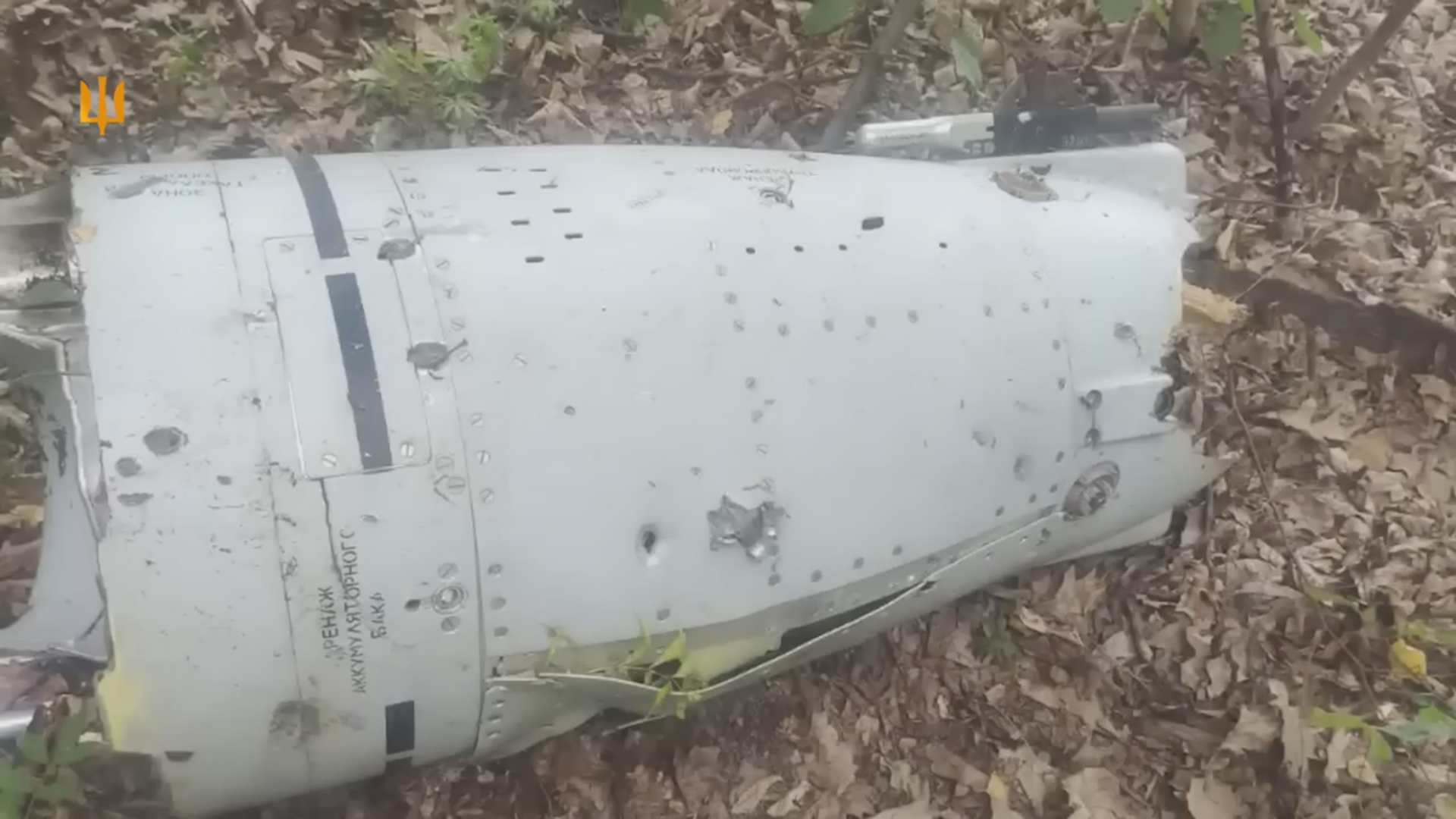 The Ukrainian Air Force for the first time demonstrated the combat ...