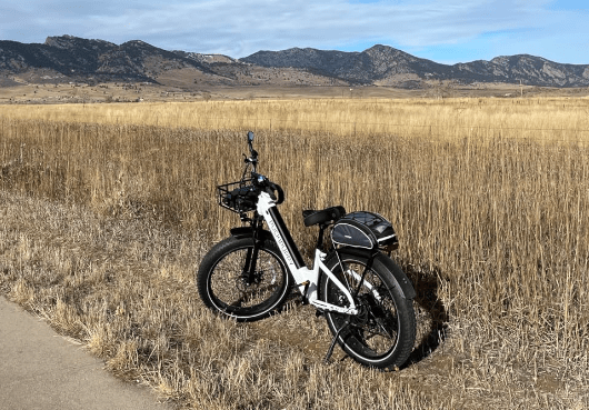 3 Best PUCKIPUPPY E-Bikes in 2025 | PUCKIPUPPY Electric Bikes Review